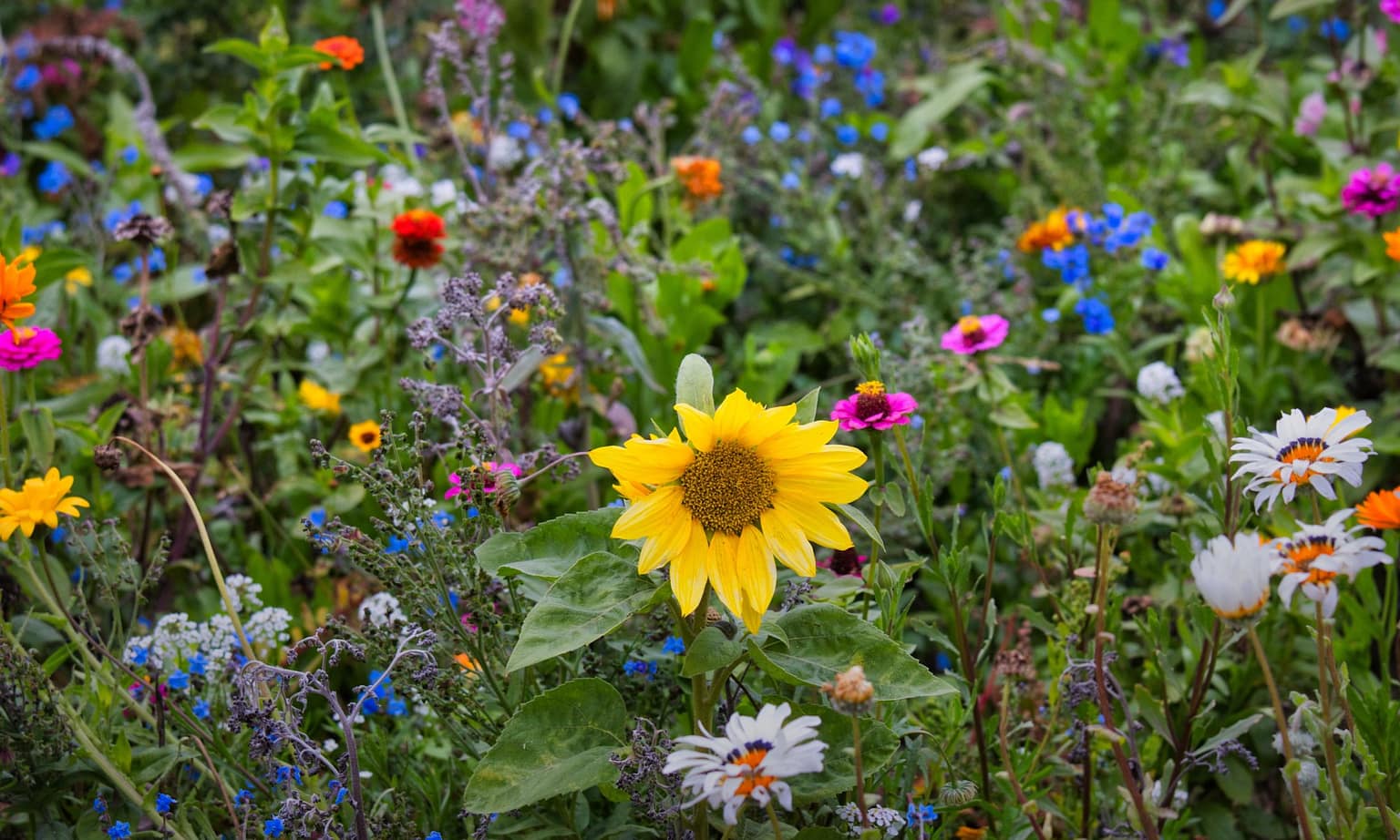 American Bee Research Conference - AAPA